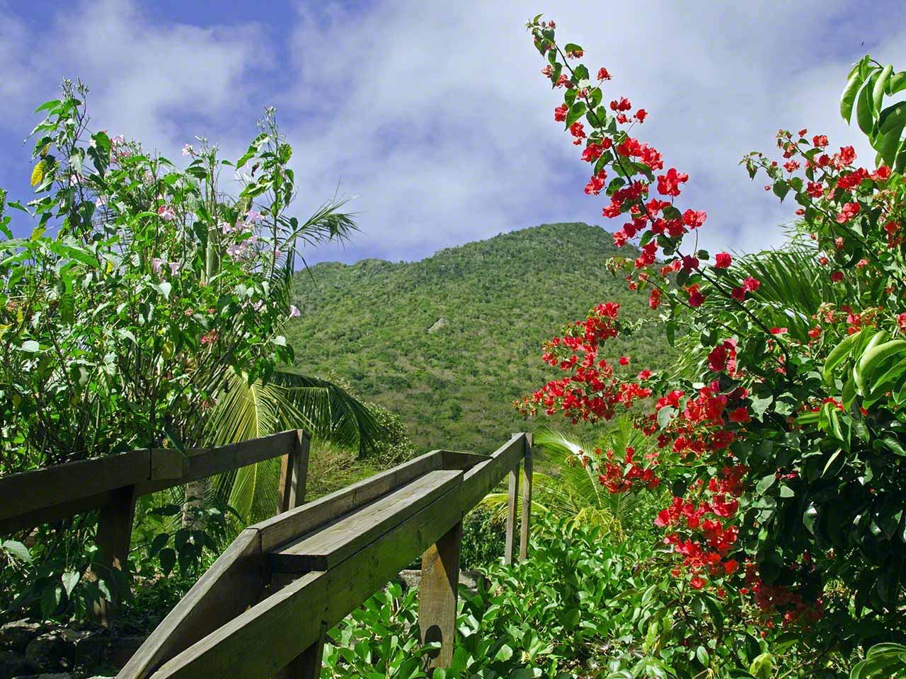 About Statia – Quill of Statia